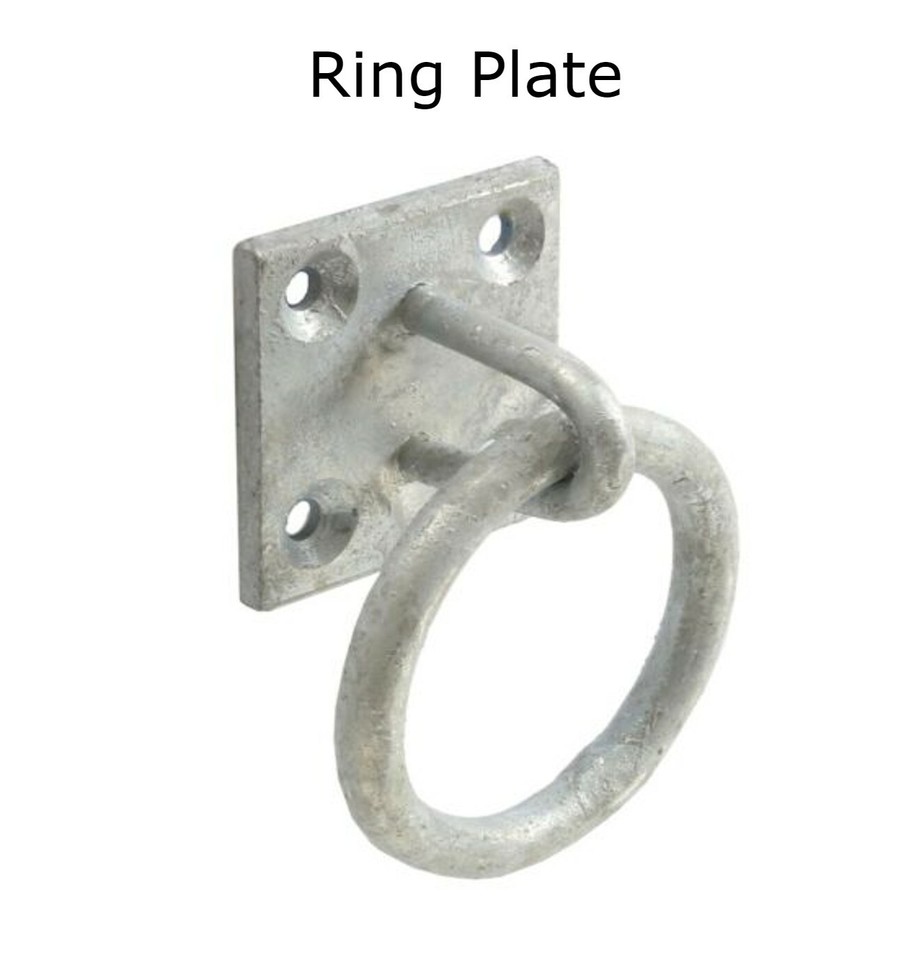 Heavy Duty Galvanised Hook/Ring/Staple On Plate 50mm Extra HD Staple ...