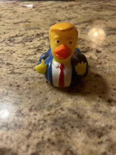 Donald Trump Rubber Duck 4” for Jeep Ducking & Cruise Ducking | eBay