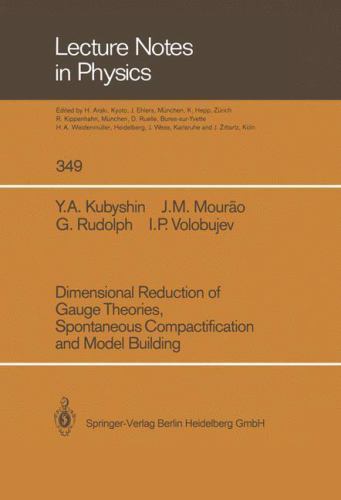 Lecture Notes in Physics Ser.: Dimensional Reduction of Gauge Theories ...