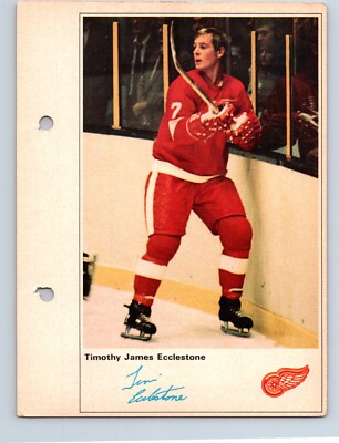 VINTAGE HOCKEY PHOTO 1970 SUN LIFE ACTION PLAYERS DETROIT TIM ...