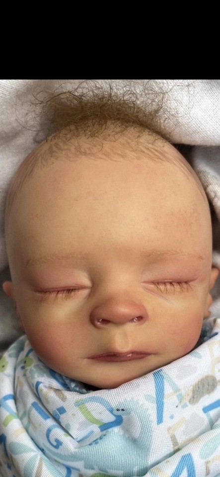Reborn Baby Ultra Realistic Rooted Hair + Lashes Soft Vinyl FIRM PRICE ...