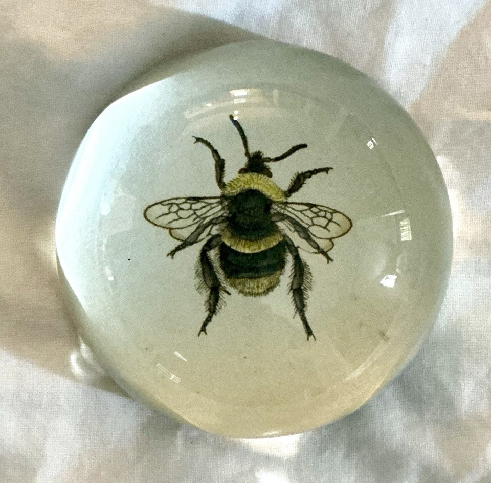 John Derian Signed Glass Paperweight Bee | eBay