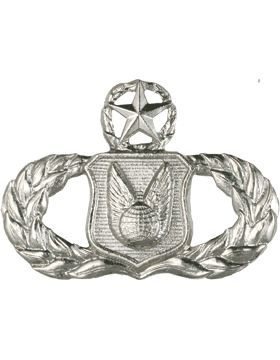 USAF Badge (AF-342C) Master Operations Support No Shine | eBay