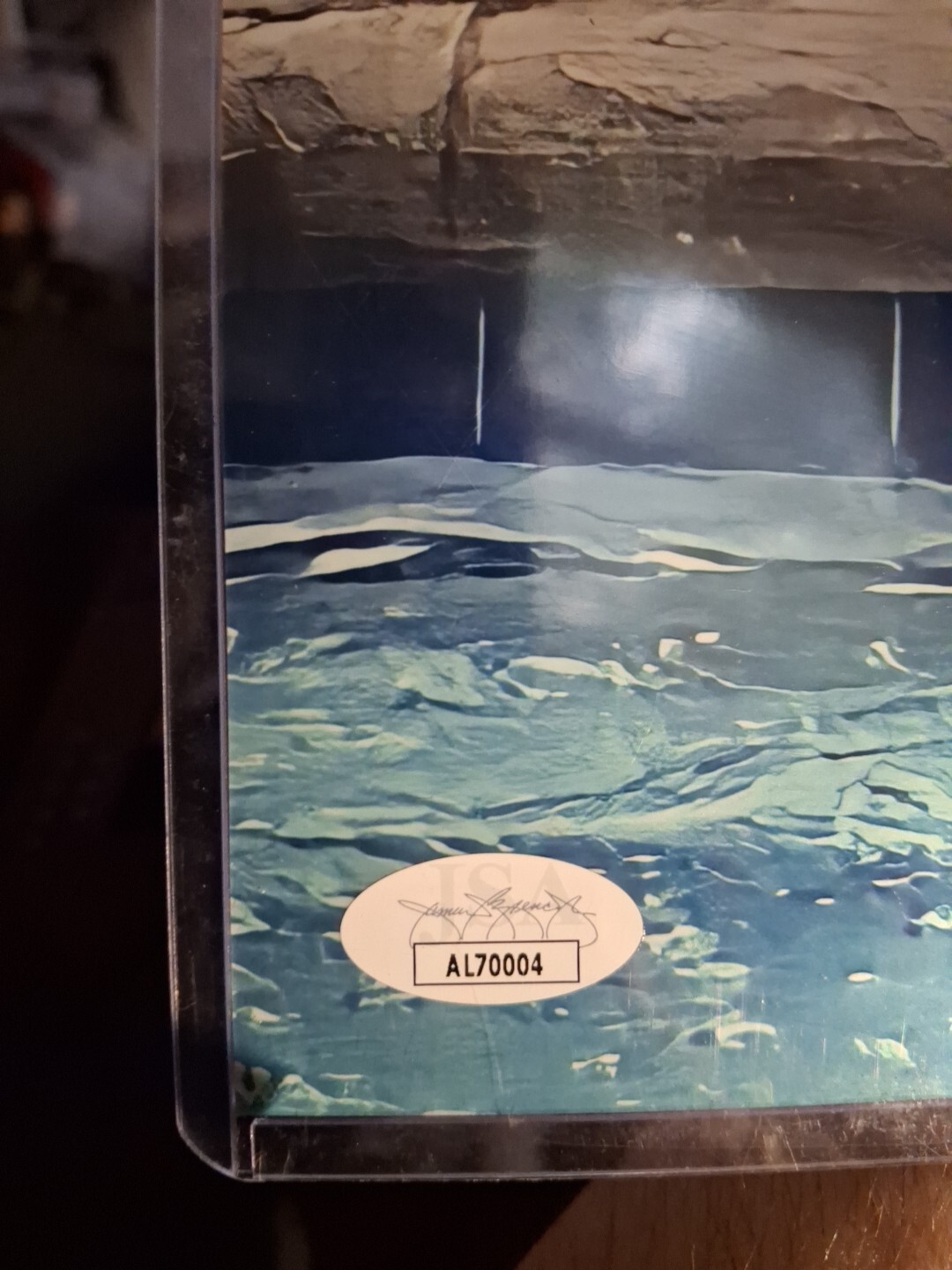 WWE NXT Gigi Dolan 11x18 Autographed Metallic Photo SEXY COA JSA 🔥 | eBay