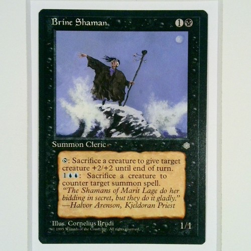 Brine Shaman Ice Age 1995 Magic The Gathering MTG Common Heavily Played ...