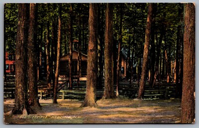 Postcard Epping NH c1914 Camp Hedding Gods Temple Forest View | eBay