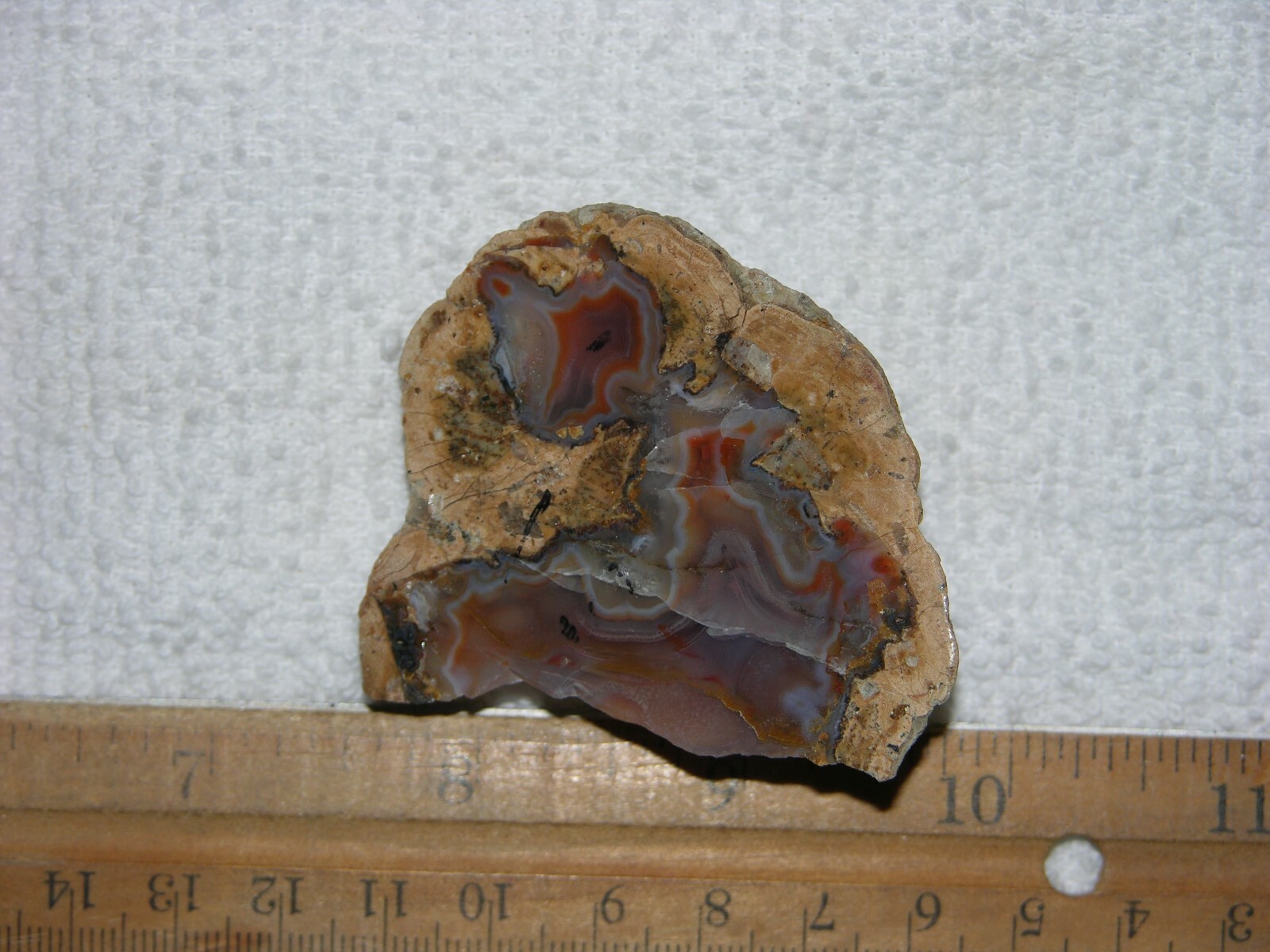 Laguna agate geode cut and polished Mexico 2 1/4 x 3 1/2 inch G160 | eBay