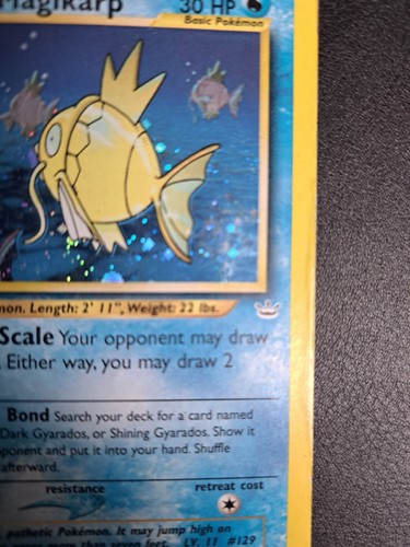 Shining Magikarp 66/64 Neo Revelation Holo Secret Rare | eBay