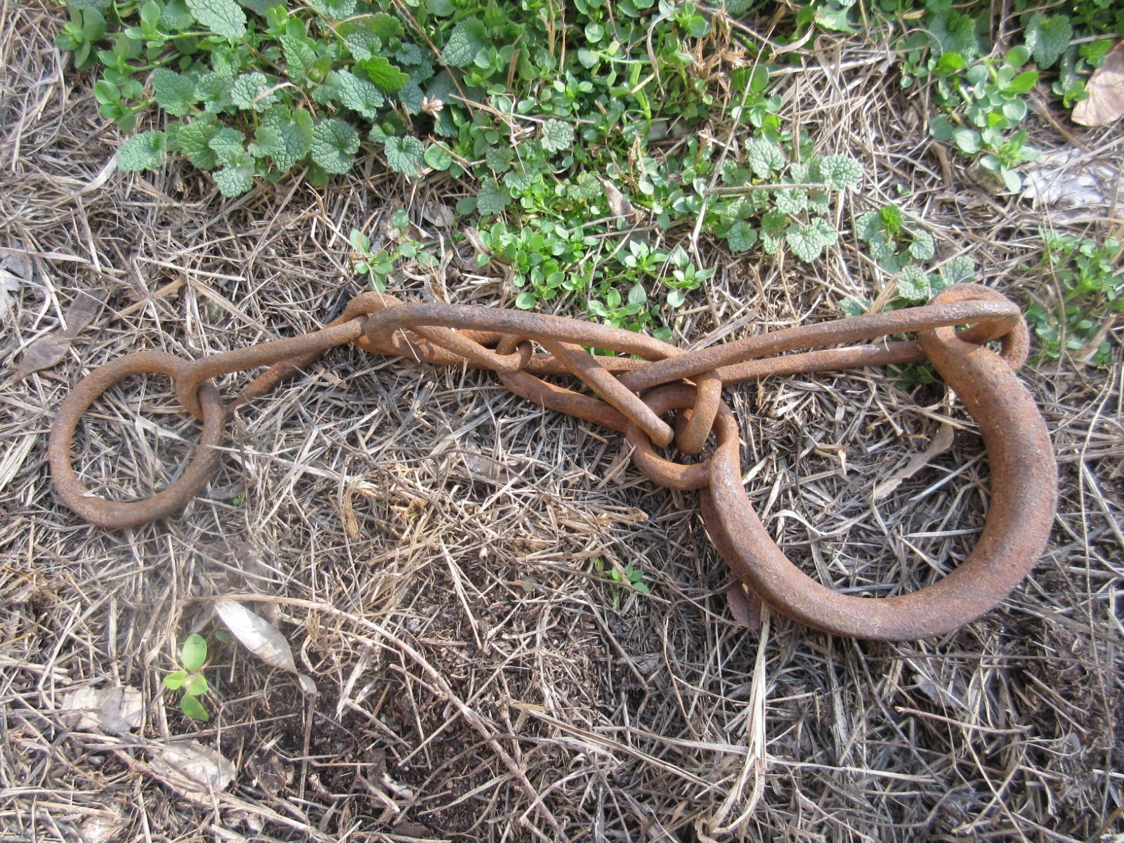 ANTIQUE 1900s RARE OLD IRON FORGED PRISONER LEG CUFF ANKLE SINGLE ...