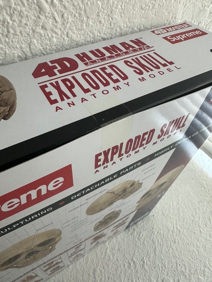 Supreme 4D Model Human Exploded Skull with Gold Grill FW23 NEW *SEALED ...