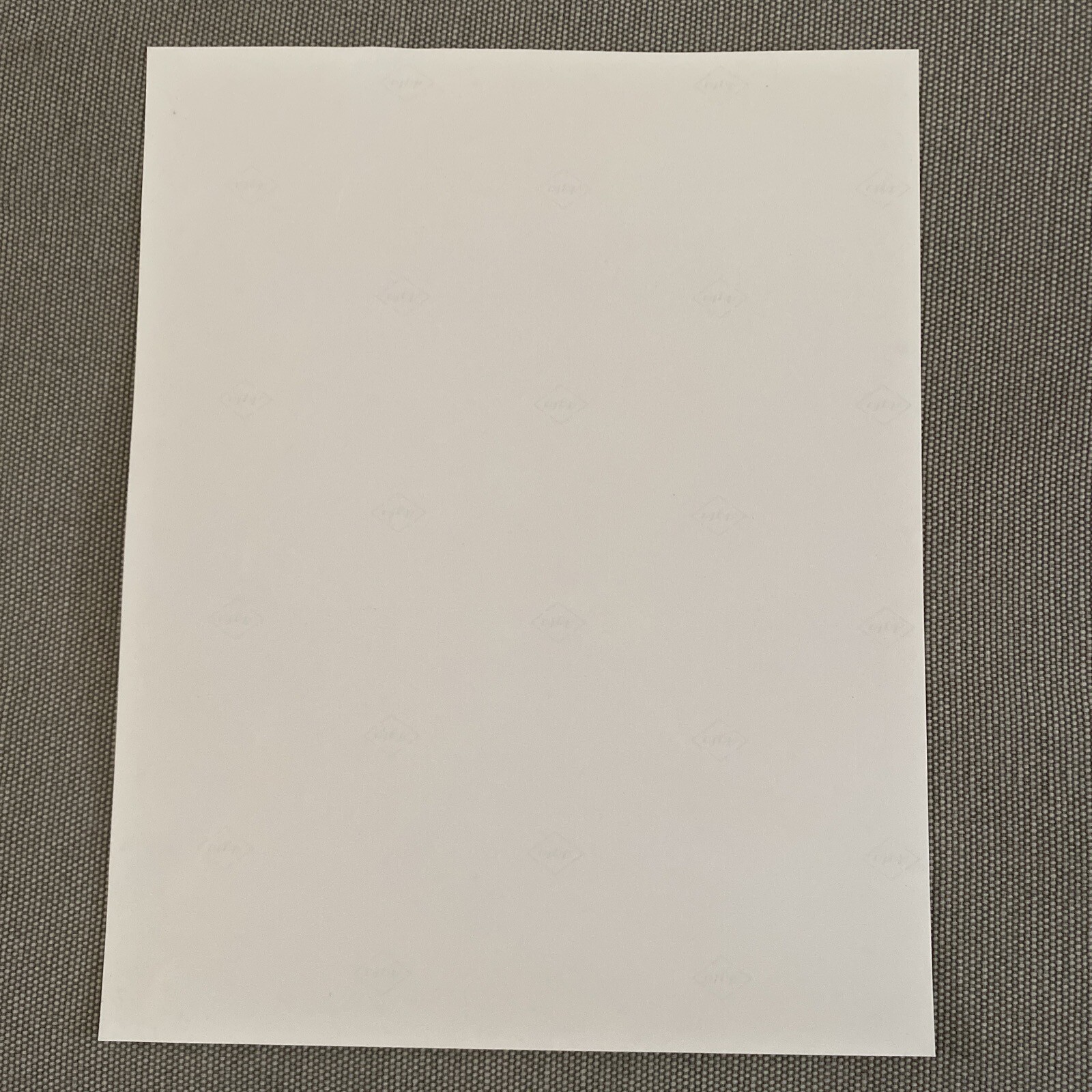 Northside Press Photo 8x10”. Warren Dermody, Cliff Ogler, Paul & Timmy ...