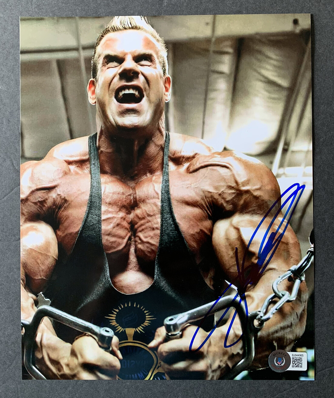 Jay Cutler Autographed Memorabilia | Signed Photo, Jersey, Collectibles ...