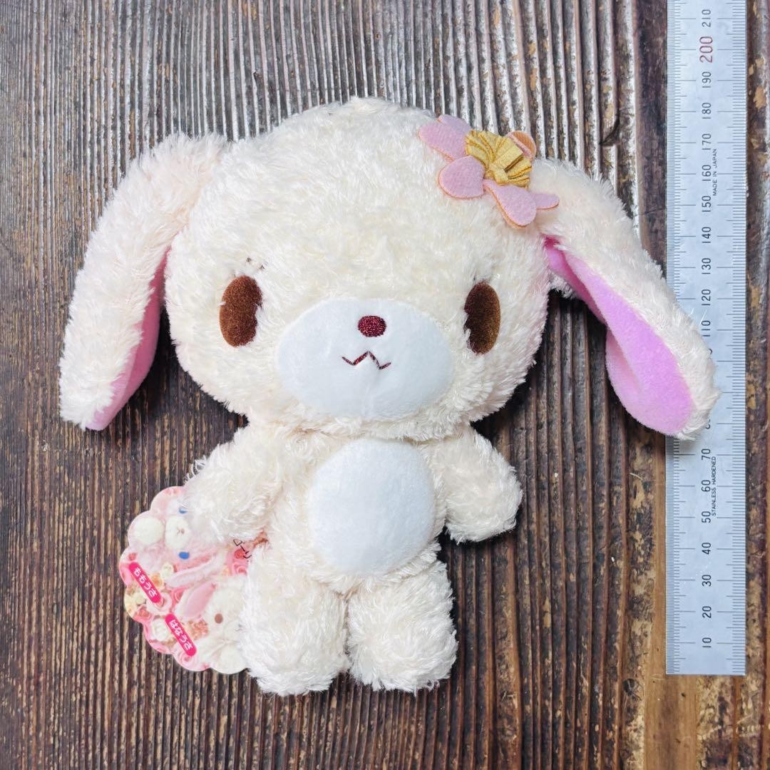 Sugarbunnies
