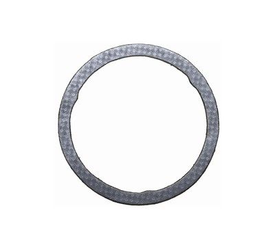 Diesel Particulate Filter DPF Gasket Replaces OEM: 2871451 | eBay
