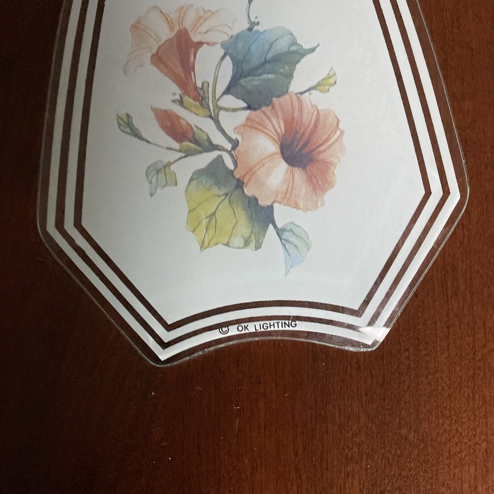 OK Lighting Lamp Glass Light Panel Replacement Pane Hummingbird ...