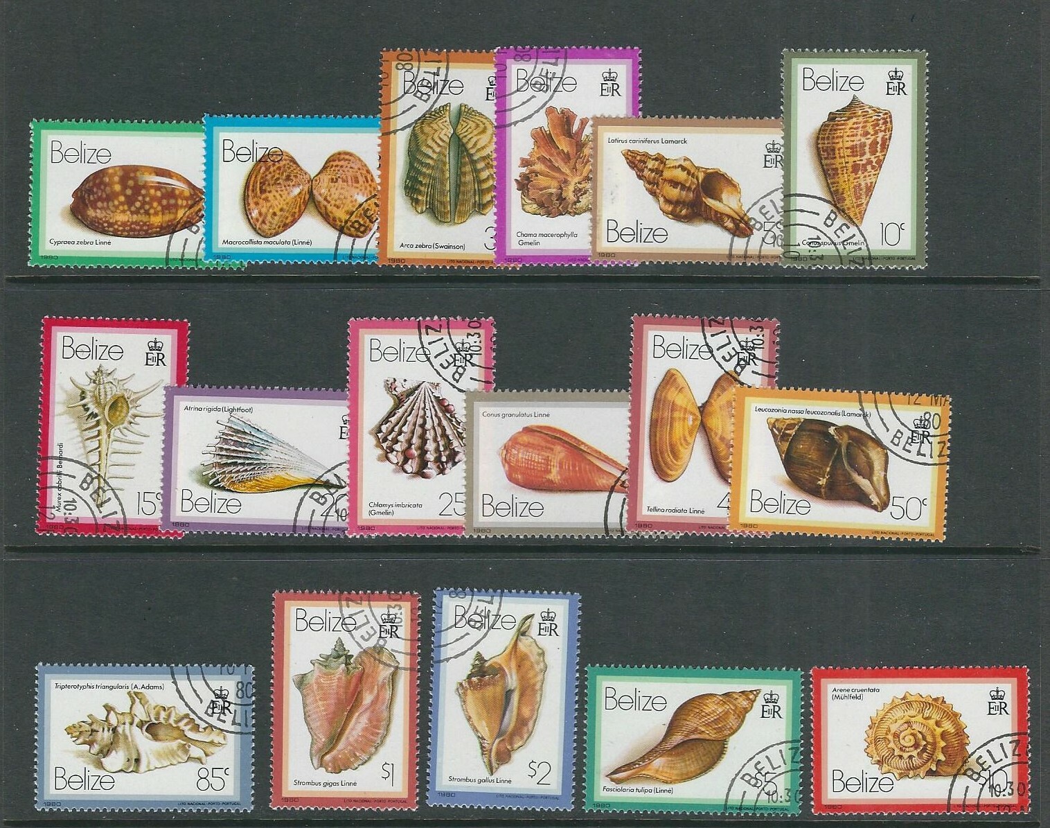 BELIZE 1980 SHELLS complete set of 17 (Scott 471-487) VF USED CTO | eBay