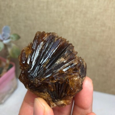 41mm Natural Amber Calcite Honey Calcite Gold Calcite Raw Specimen 72g ...