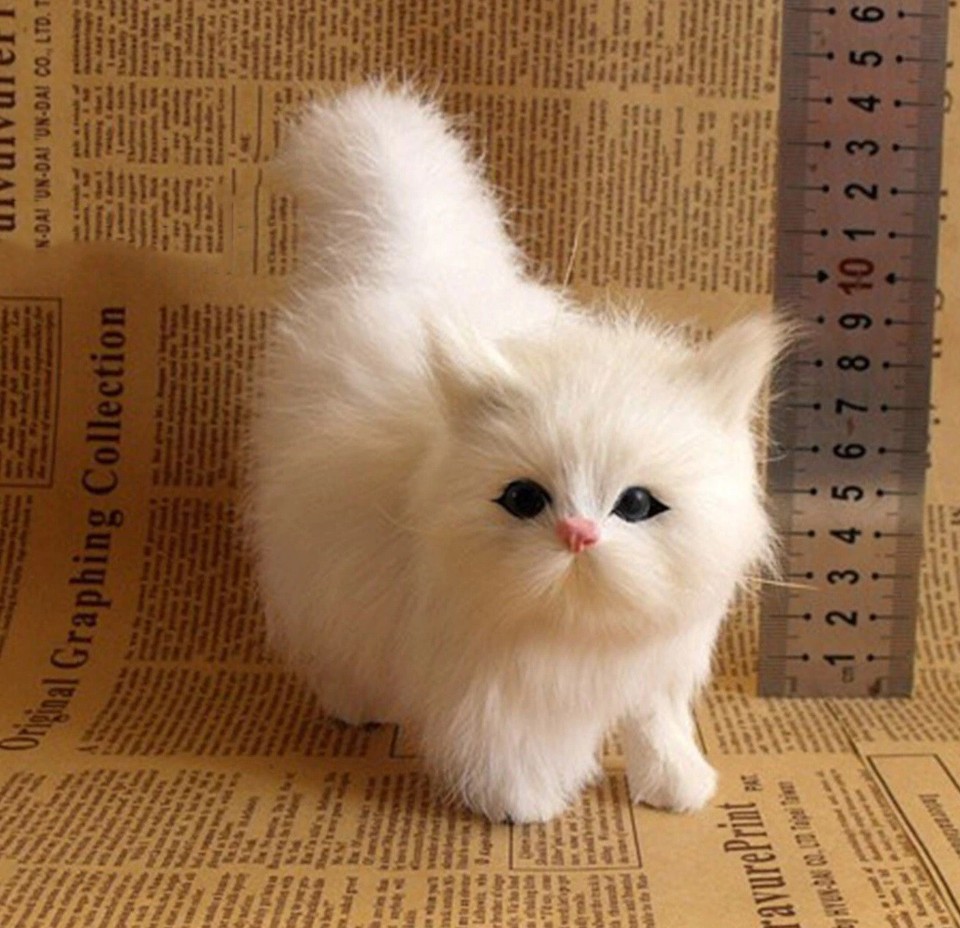 Kitten Cat Doll 5 Inch Stuffed Animal Plush Toys Kids Birthday ...