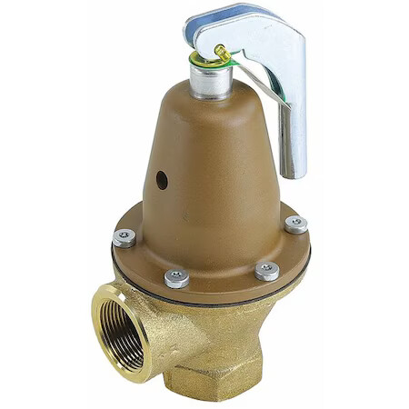 Watts 0121522 Backflow Check Relief Valve 1-1/4 Inch 100 psi | eBay