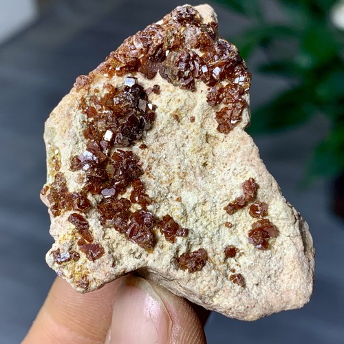 39GNatural Beautiful Vanadinite Atone Cluster Quartz Mineral ...