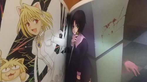 CLAIR de LUNE Illustration Anthology Book Lunar Legend Tsukihime TYPE ...