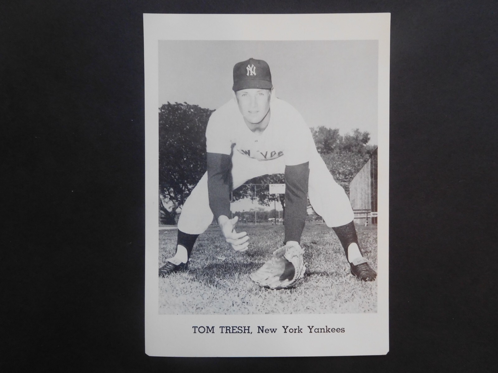 TOM TRESH NEW YORK YANKEES 1960'S TEAM ISSUED 5X7 PHOTO | eBay