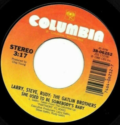 The Gatlin Brothers Larry, Steve, Rudy – She Used To Be Somebody's Baby ...