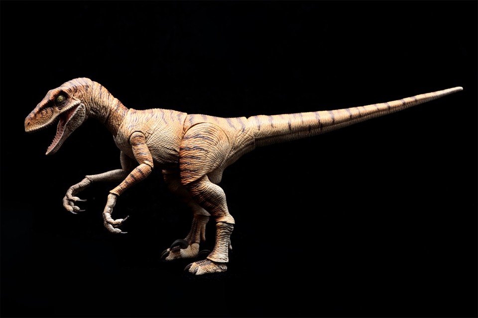 Nanmu 1/12 Smart Series Raptor 2.5 Model Shadow Blade and Tiger Blade ...