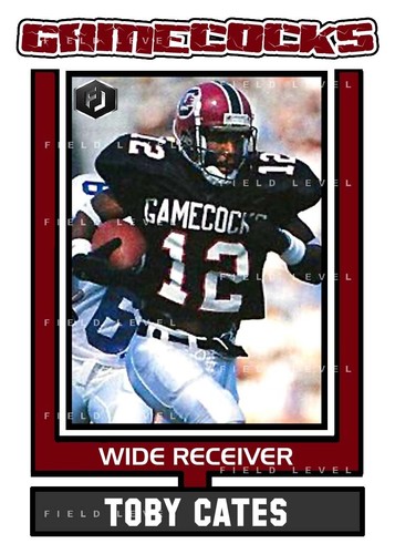 ACEO TOBY CATES SOUTH CAROLINA GAMECOCKS CUSTOM HAND MADE ART CARD | eBay