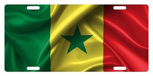 SENEGAL Flag Custom License Plate NATIONAL Emblem WAVE Version | eBay