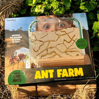 Ant Farm Kit for Kids - Ants Farms Colony - Sand Habitat Kits -Open Box ...