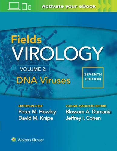 Field's Virology : DNA Viruses, Hardcover by Howley, Peter M., M.D ...