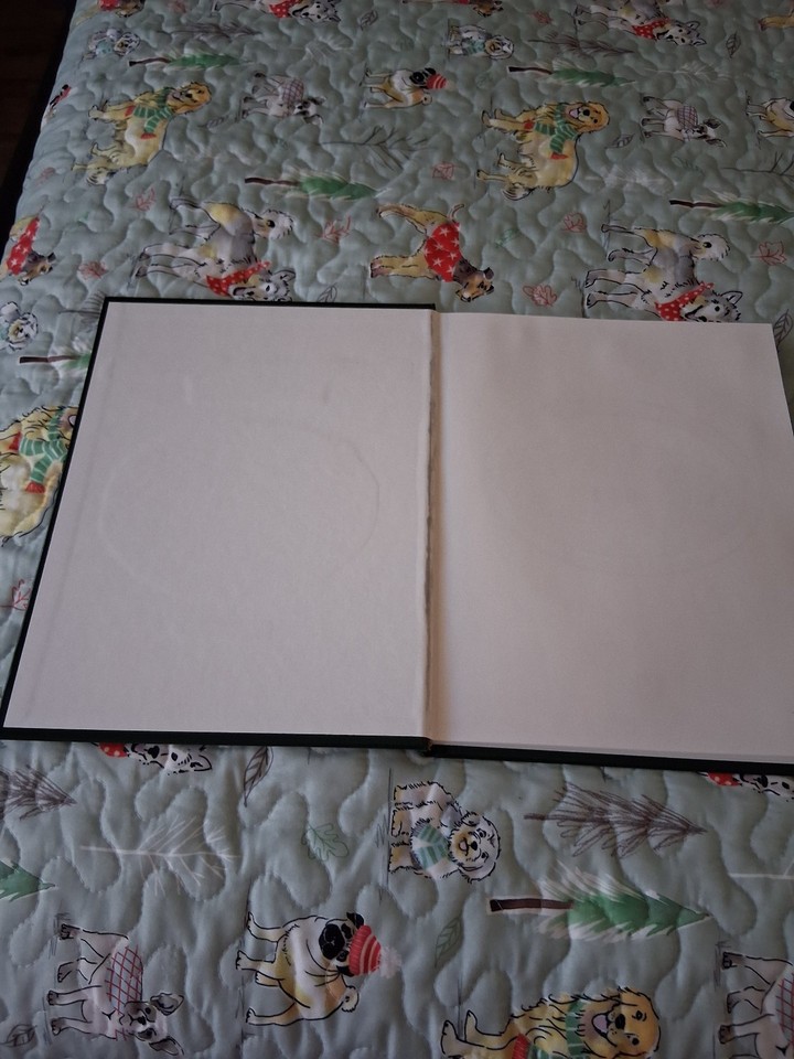 NEW MIDRID COUNTY MISSOURI HISTORY & FAMILY 1812-2013 BOOK ACCLAIM ...