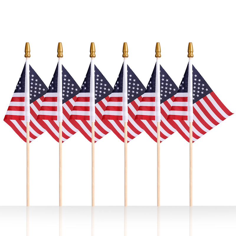 Small American Flag In Hand