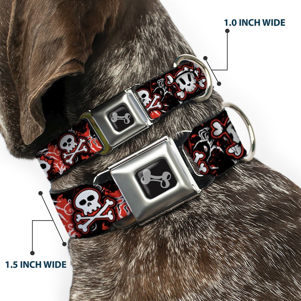 Dog Collar Bone Girlie Skull Black/Red WIDE-Large 20-31" (US IMPORT ...