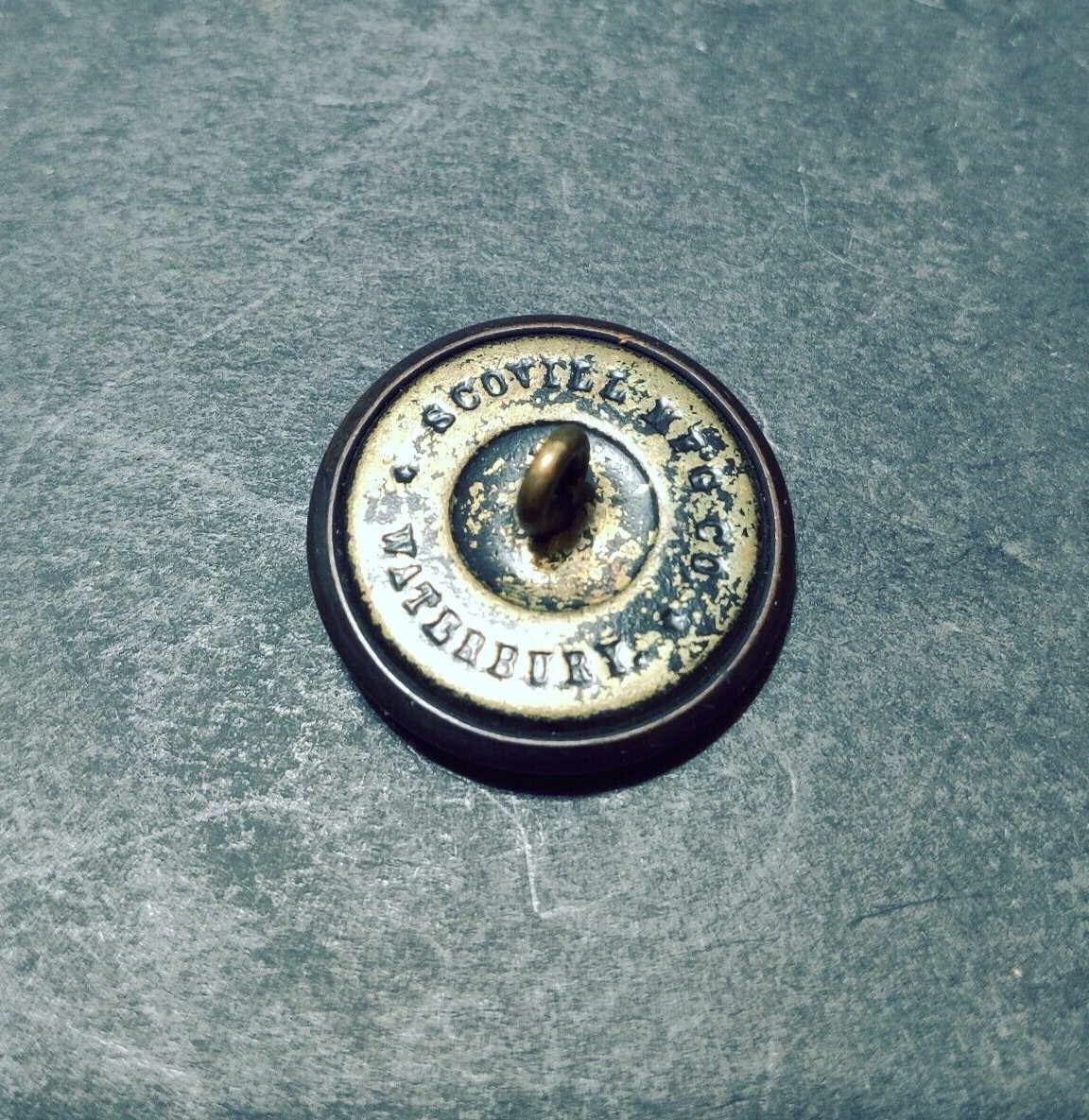 Military Eagle 5/8" Button Scovill Mfg Co Waterbury circa 1902-18 1870s Backmark | eBay