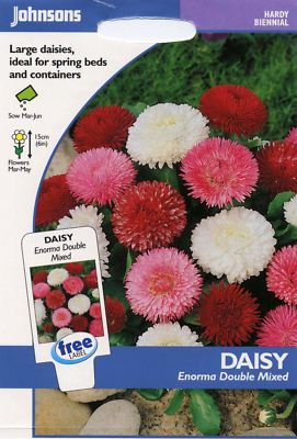 Johnsons Seeds - Pictorial Pack - Flower - Daisy Enorma Double Mixed ...