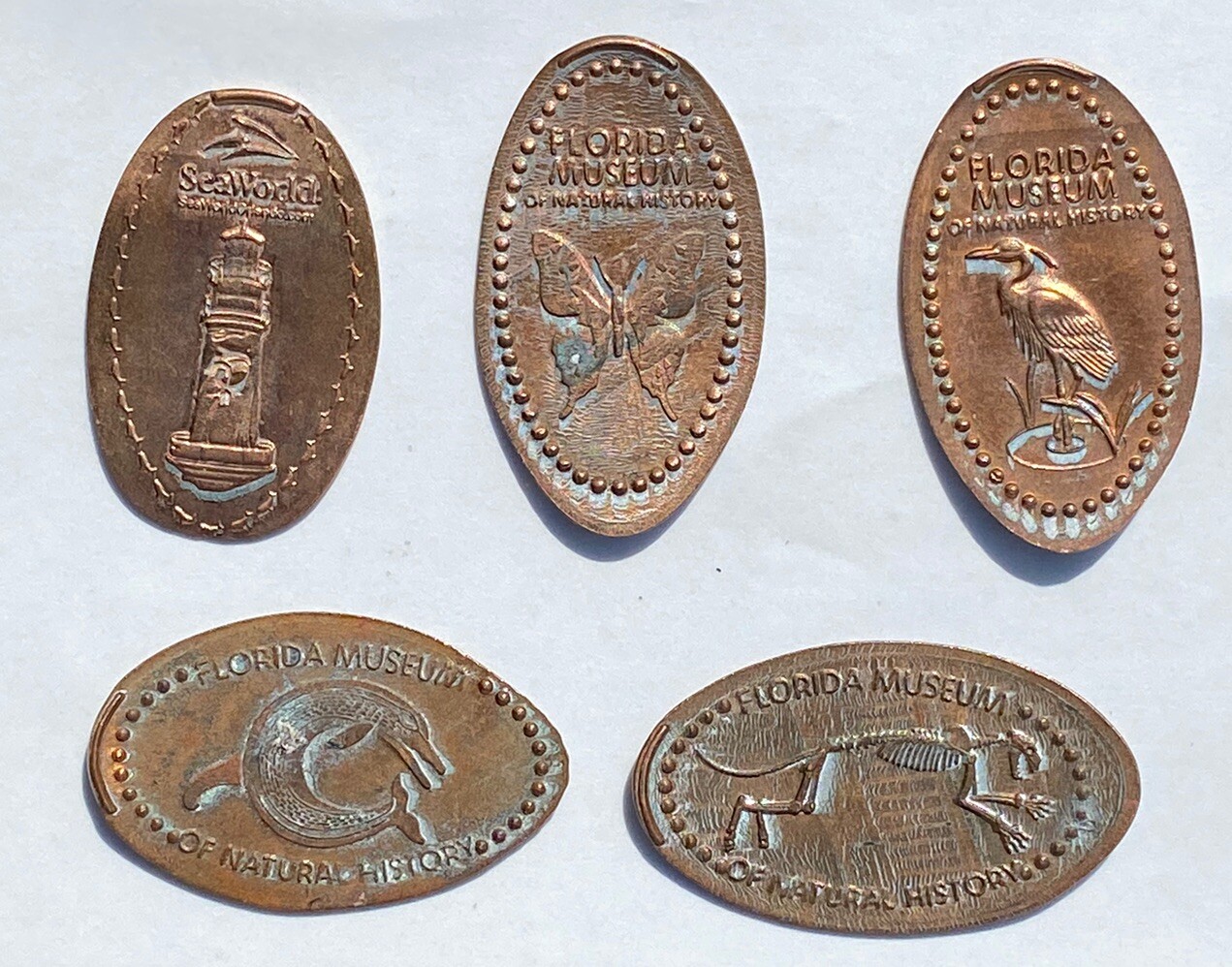 Lot of 5 Florida Museum Sea World Pressed Elongated Pennies Souvenir ...