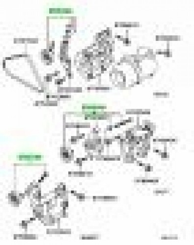 MITSUBISHI GENUINE OEM PULLEY L200 1986/05-1996/05 MB609125→SSA921B478 ...