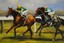 DANCING BRAVE LIMITED EDITION MAX BRANDRETT PRINT NEW FLAT RACEHORSE | eBay