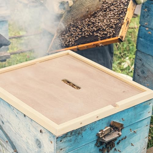 4 Pcs Beehive Inner Cover for 10 Frame Hive Box Cover with Feeding Hole ...