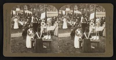 Sweden Varfest (Spring Festival Day) in City Park, J nk ping, Swe - Old Photo | eBay Australia
