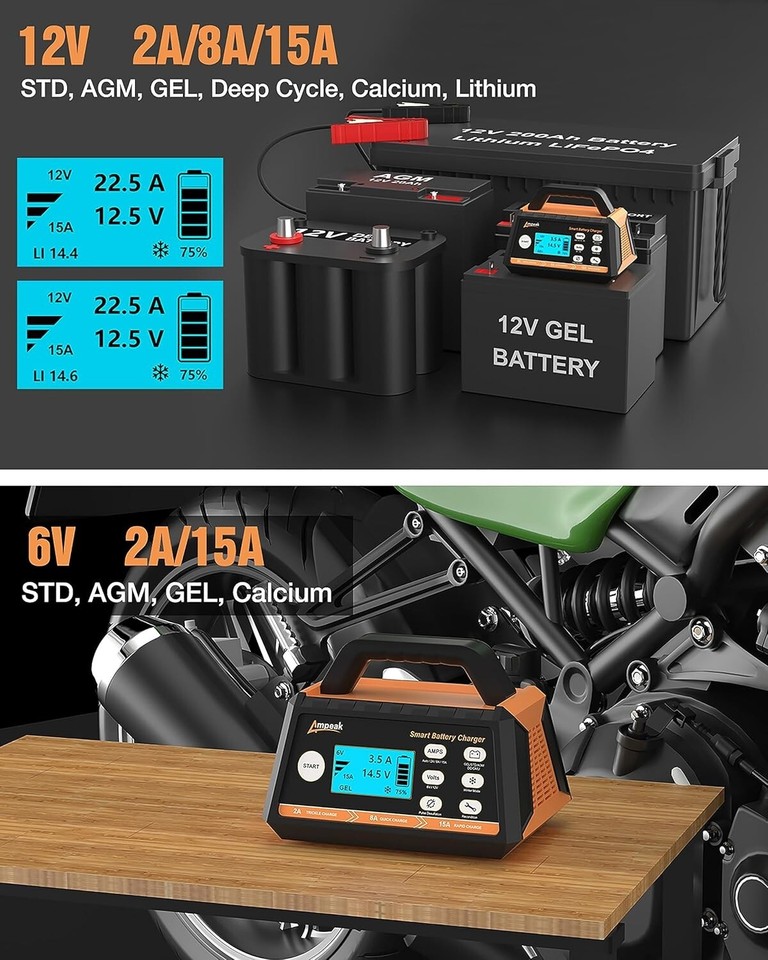 Smart 2A/8A/15A Car Battery Charger for 6V/12V with Winter Mode & Multi ...