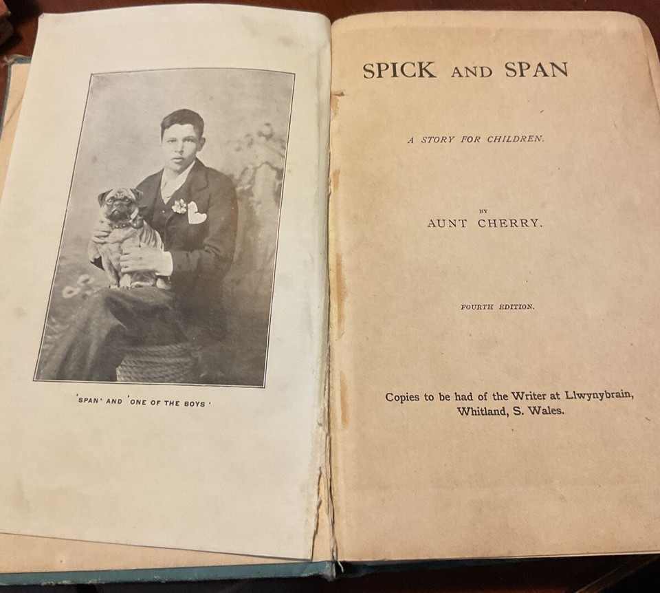 Spick And Span By Aunt Cherry Victorian Moral Tale From Llwynybrain ...