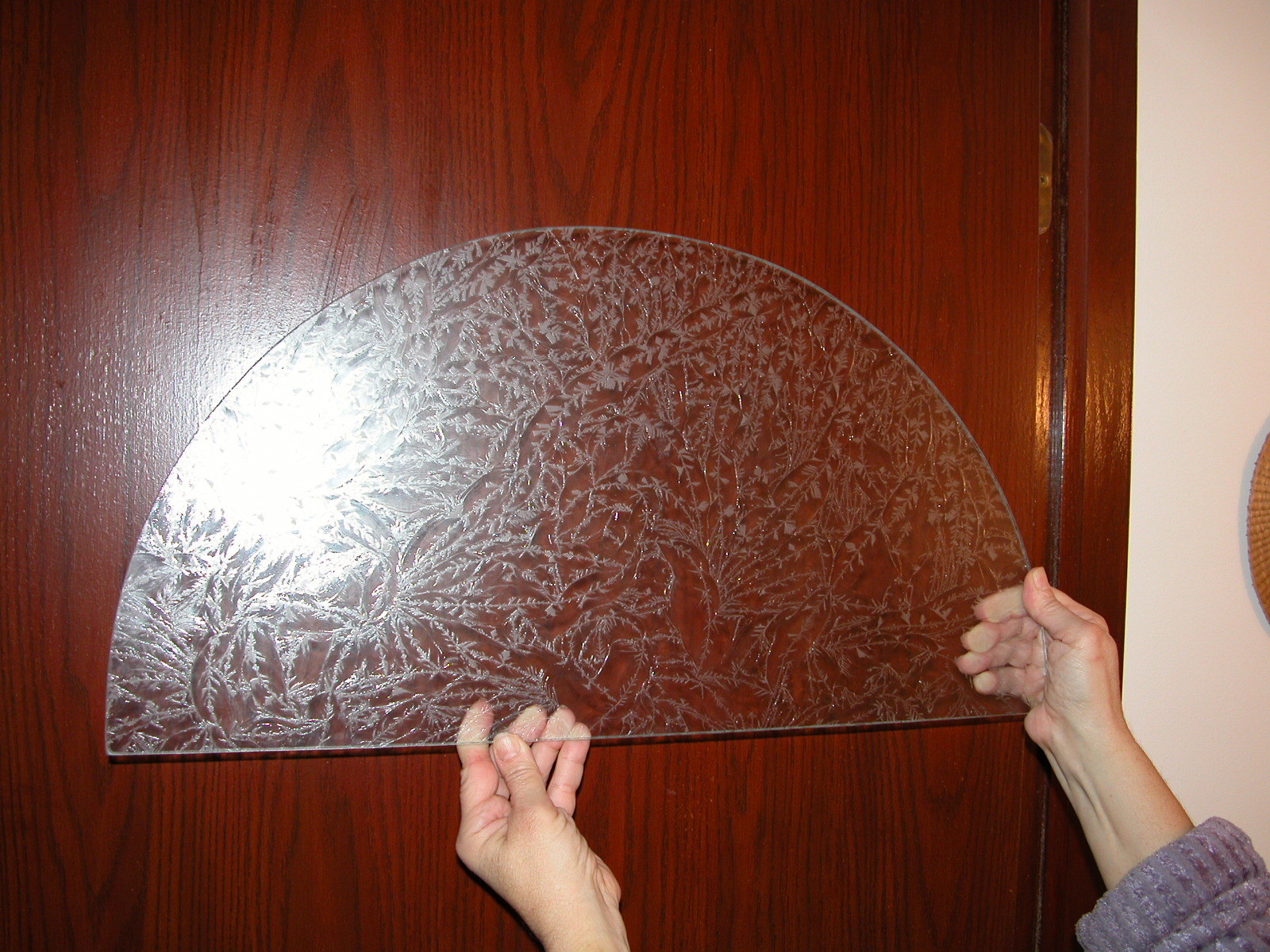 Exterior Door Arch top glass, Top fan lite window transom etched floral ...