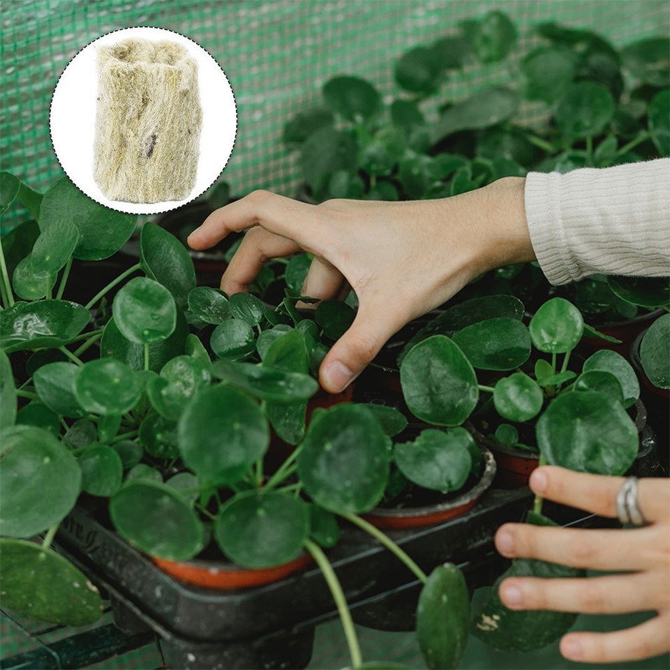 22 Pcs Soilless Culture Hydroponic Nursery Plant Grow Plugs Starter ...