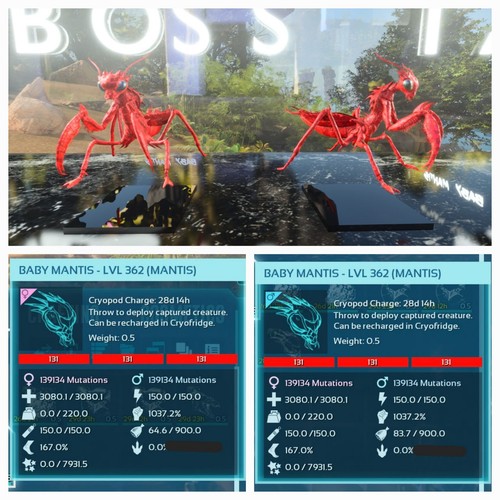 ARK ASCENDED PVE OFFICIAL PAIR BABY MANTIS #131 TOP STATUS 1K DMG PS5 ...