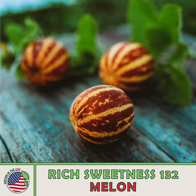 20 Rich Sweetness 132 Melon Seeds, Heirloom, Non-GMO, Genuine USA | eBay