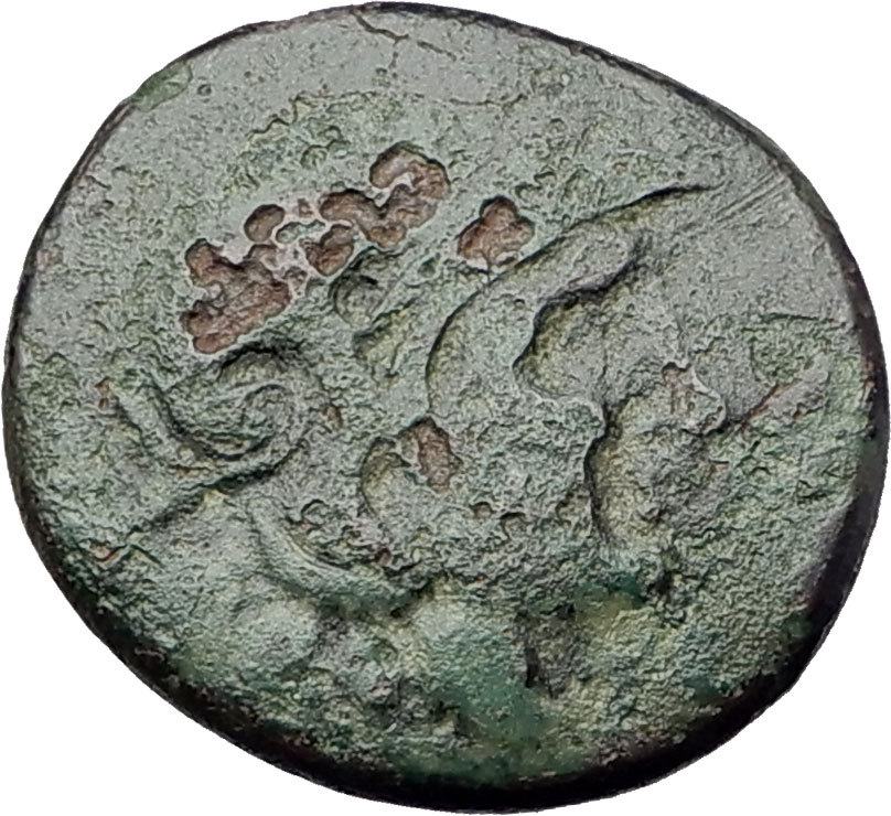 LYSIMACHOS Thrace King 305BC Lampsakos Ancient Greek Coin ATHENA TROPHY ...