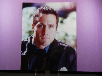 8x10 Color Celebrity Photo Picture Rob Estes 90210 Melrose Place Silk ...